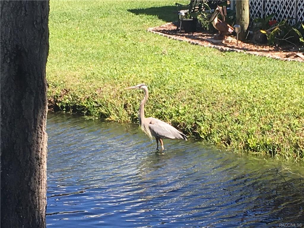 River Cove Property Information - 11965 W Edgeview Court, Crystal River ...