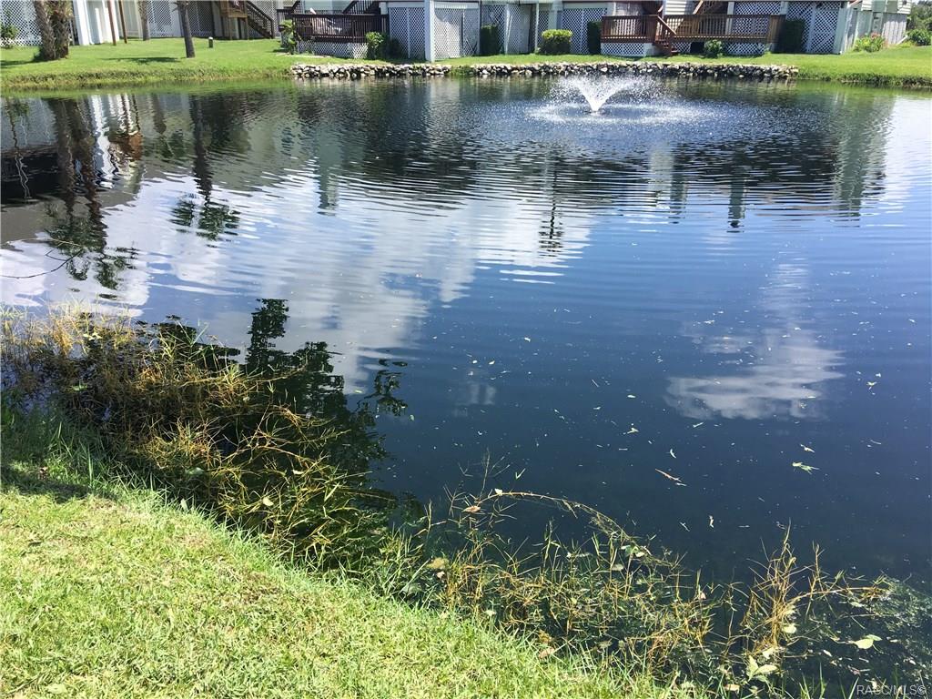 River Cove Property Information - 11965 W Edgeview Court, Crystal River ...