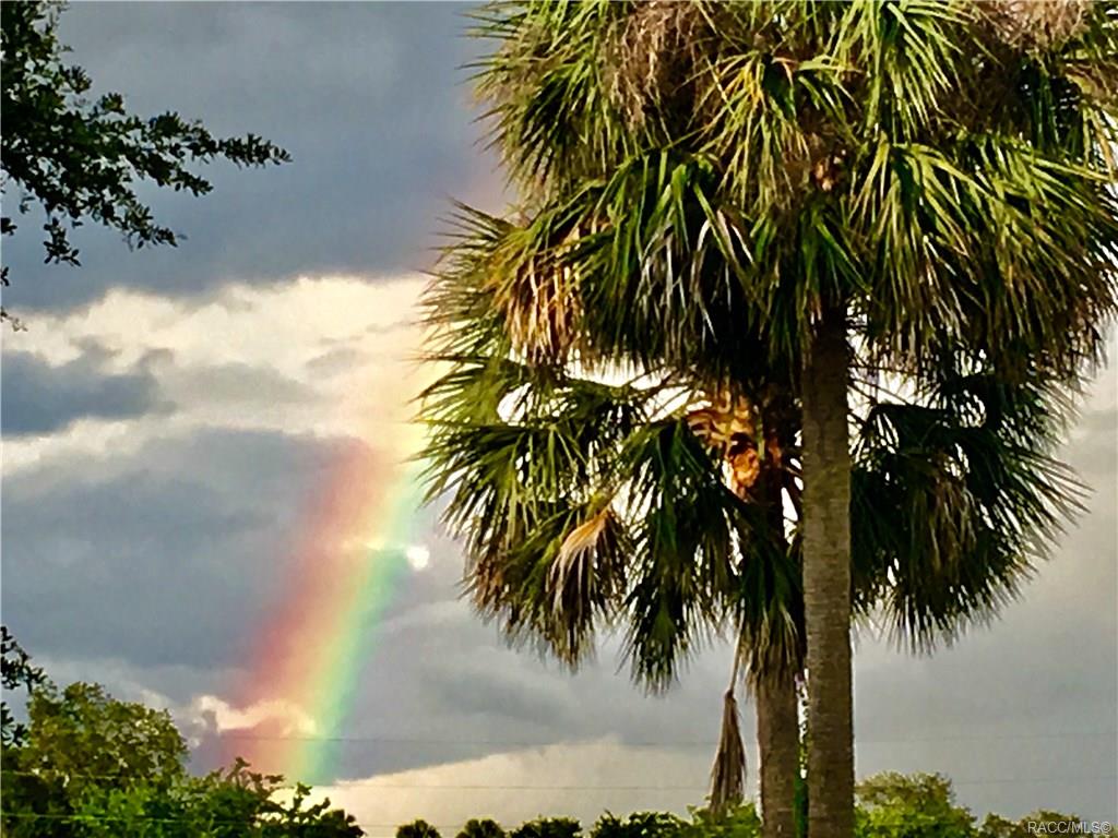 River Cove Property Information - 11965 W Edgeview Court, Crystal River ...