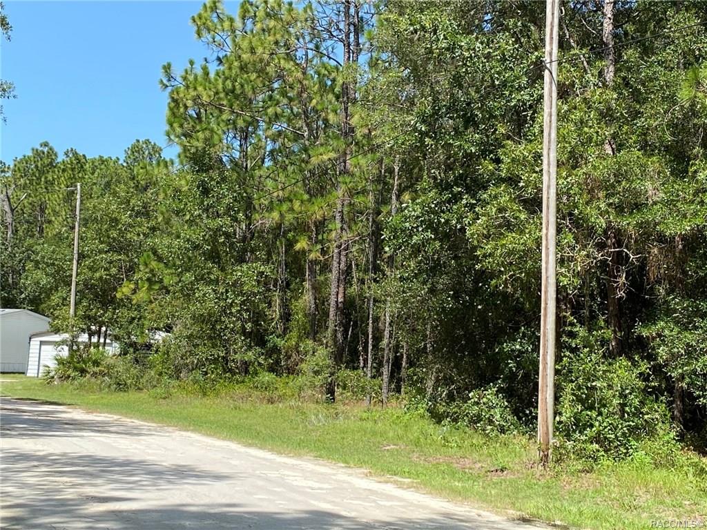 Holiday Heights Property Information - 10215 W Ohio Drive, Crystal ...
